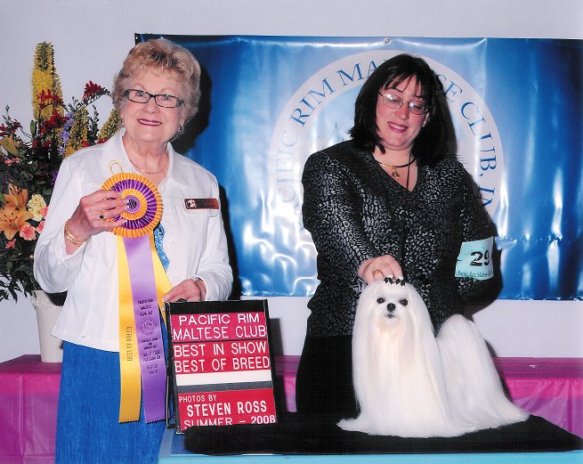 Show News of Rhapsody Maltese ...